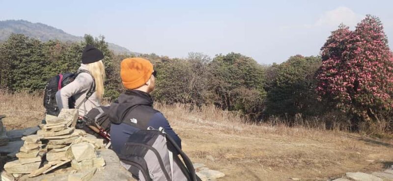 Pkr. Backpacker Group Dep.: 4 Day Mardi Himal Base Camp Trek - The Experience of the Guides