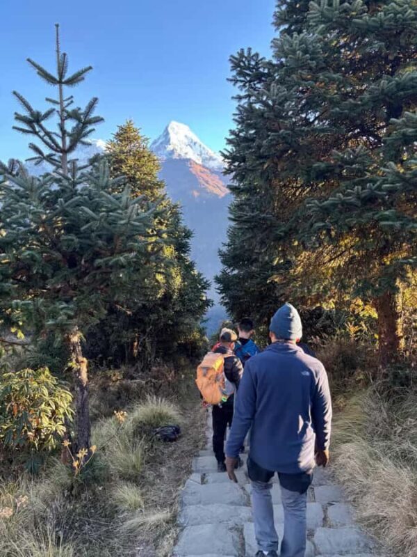 Pkr/Kathmandu: 3-Days Poonhill Private Trek - A Practical Guide to the 3-Day Poon Hill Trek