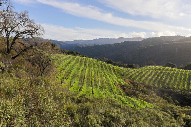 Placer County Wine Tasting Pass - Final Thoughts