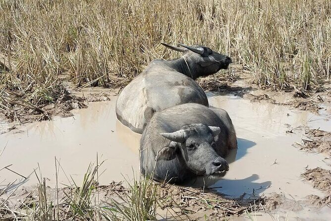 Plain of jars tour with local guide - The Grand Finale: Plain of Jars Site 1