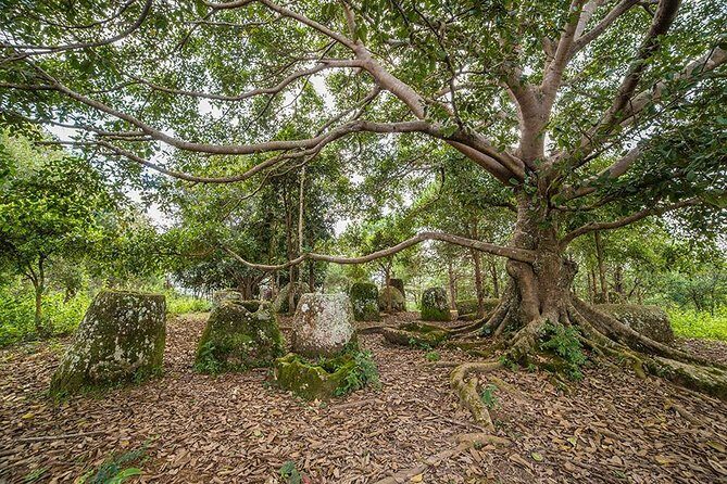 Plain of jars tour with local guide - Authenticity and Cultural Insights