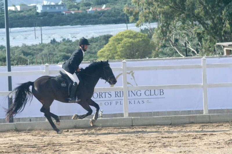 Plakias: Horse Riding Lesson - An In-Depth Look at the Horseback Riding Experience in Plakias