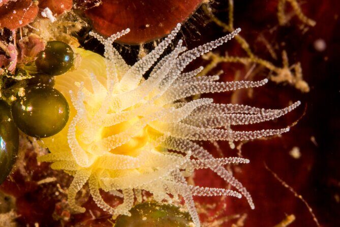 Plakias: Try Scuba Diving first time - Private, from 8 yrs. - A Warm Welcome to Your First Underwater Adventure