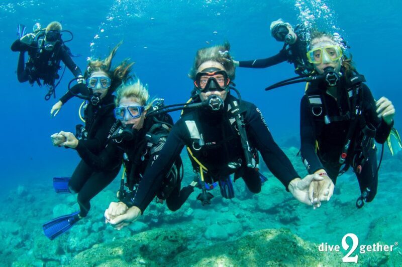 Plakias: Try Scuba Diving, private experience - from 8yrs - Key Points