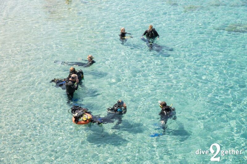 Plakias: Try Scuba Diving, private experience - from 8yrs - Value and Practical Considerations