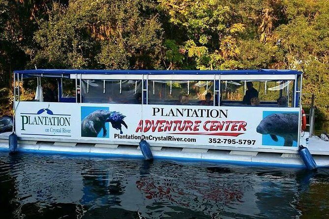 Plantation's Kings Bay Scenic Cruise - Why This Tour Offers Good Value