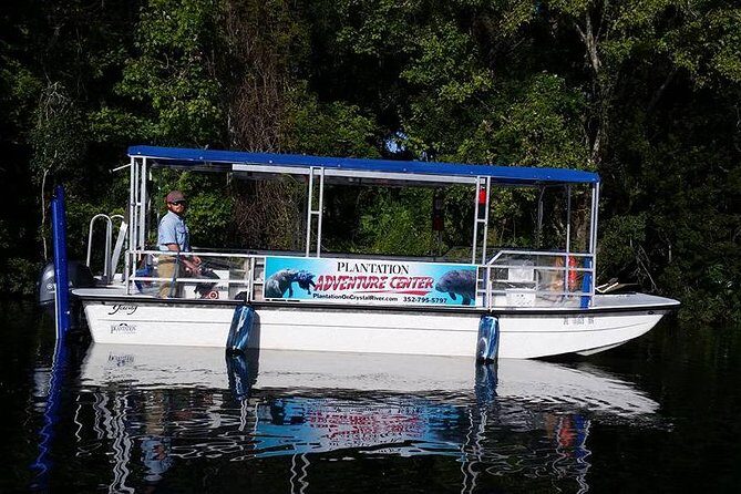 Plantation's Kings Bay Sunset Cruise - What’s the Real Value?