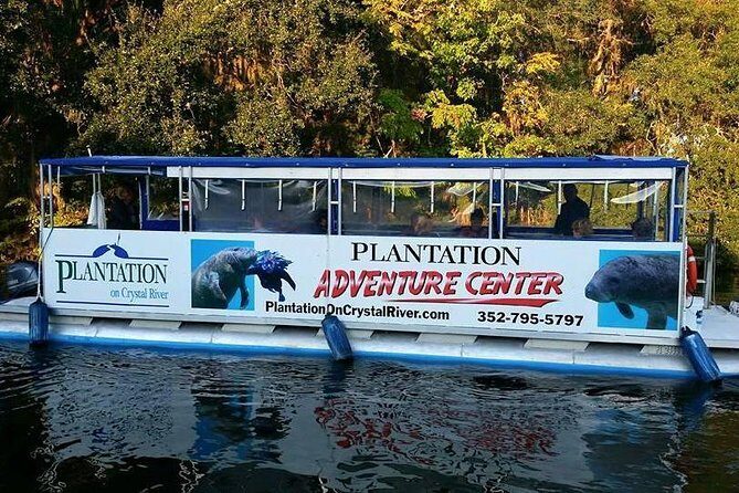 Plantation's Kings Bay Sunset Cruise - Who Will Love This Tour?