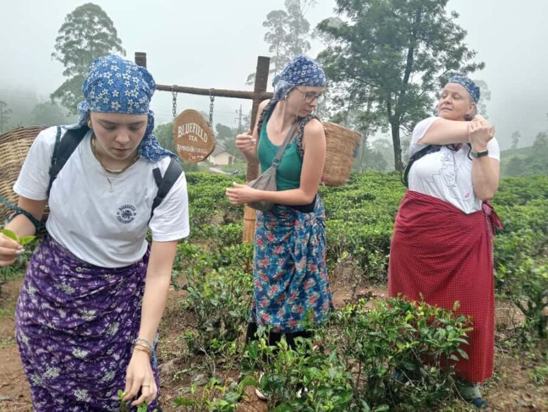 Plantations Tuk-Tuk Tour in Nuwara Eliya - Authenticity and Reviews