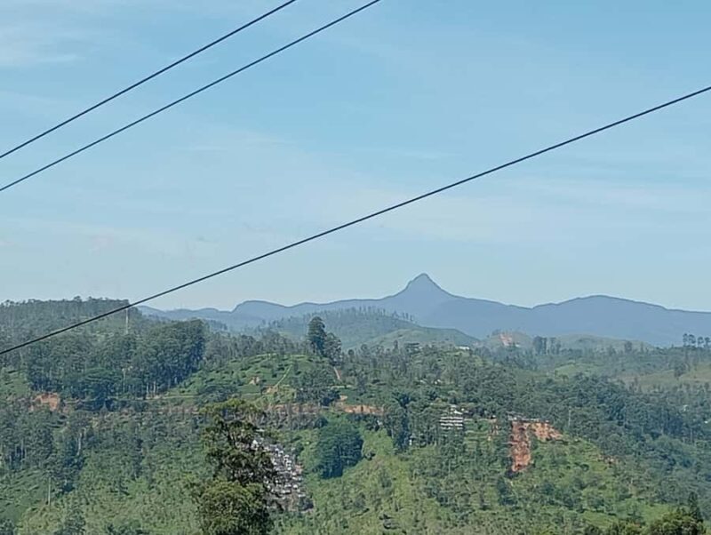 Plantations Tuk-Tuk Tour in Nuwara Eliya - The Sum Up