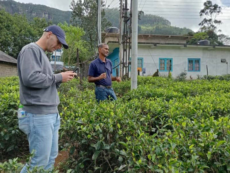 Plantations Tuk-Tuk Tour in Nuwara Eliya - FAQ