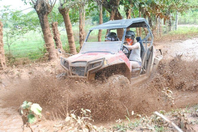 Platinum Buggy Adventure - What to Expect From the Tour