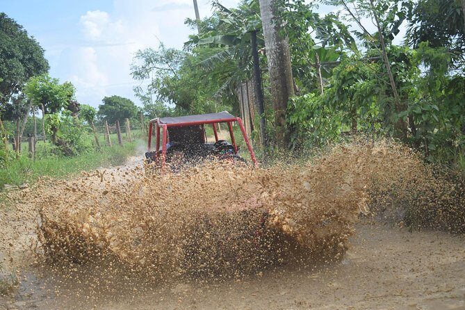 Platinum Buggy Adventure - Who Should Consider This Tour?