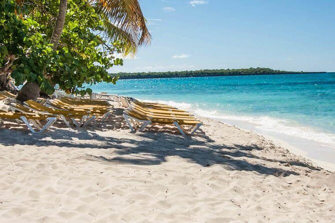 Platinum Catalina Island and Chavon River - Who Will Love This Tour?