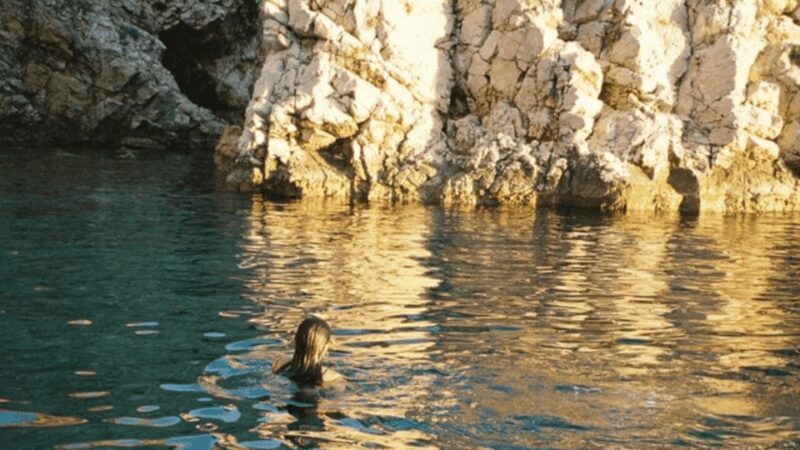 Plavnik Island: A public half day boat tour - Key Points