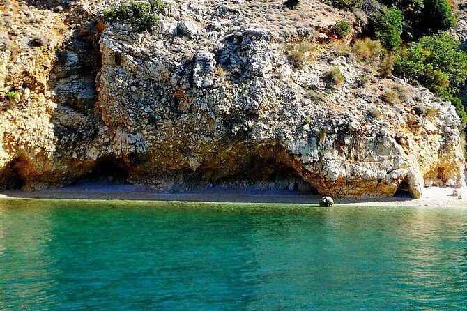 Plavnik island & Wild bays full-day boat trip with capt. Bobo - Analyzing the Value: Price and Experience