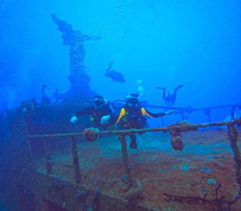 Playa del Carmen: 2-Tank Reef Dive - Playa del Carmen: 2-Tank Reef Dive — An In-Depth Review for Curious Travelers