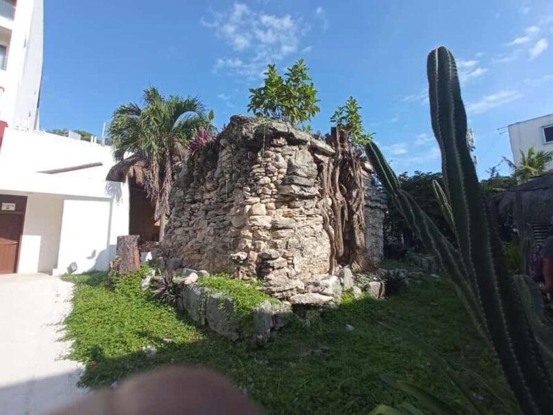 Playa del Carmen: A Sensory Tour Through Mexico's Culinary Memory - A Closer Look at the Experience