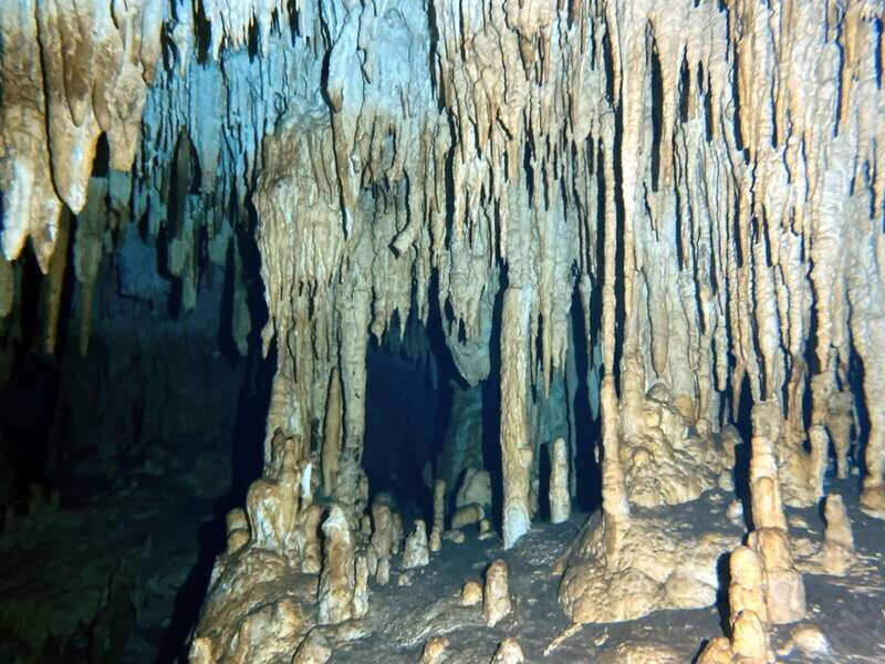 Playa del Carmen: Cenote Diving Experience - The Itinerary in Detail