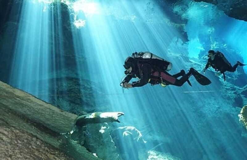 Playa del Carmen: Cenote Diving Experience - What Makes This Tour Special?