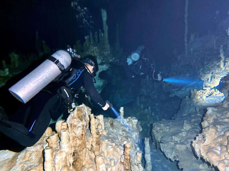 Playa del Carmen: Cenote Diving Experience - Included and Not Included