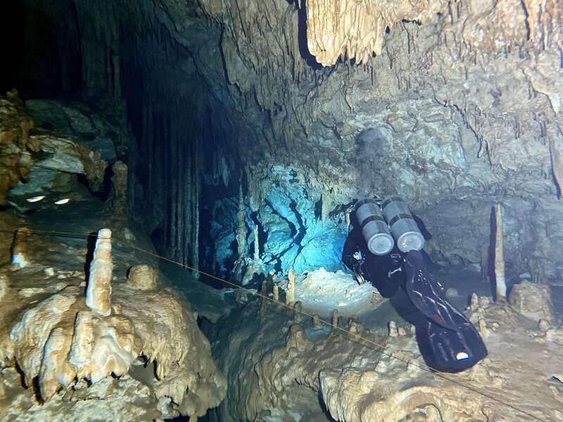Playa del Carmen: Cenote Diving Experience - The Experience Provider