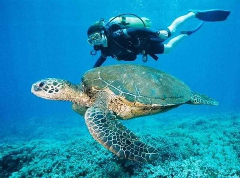 Playa del Carmen: Cenote Diving for Certified Divers - The Verdict