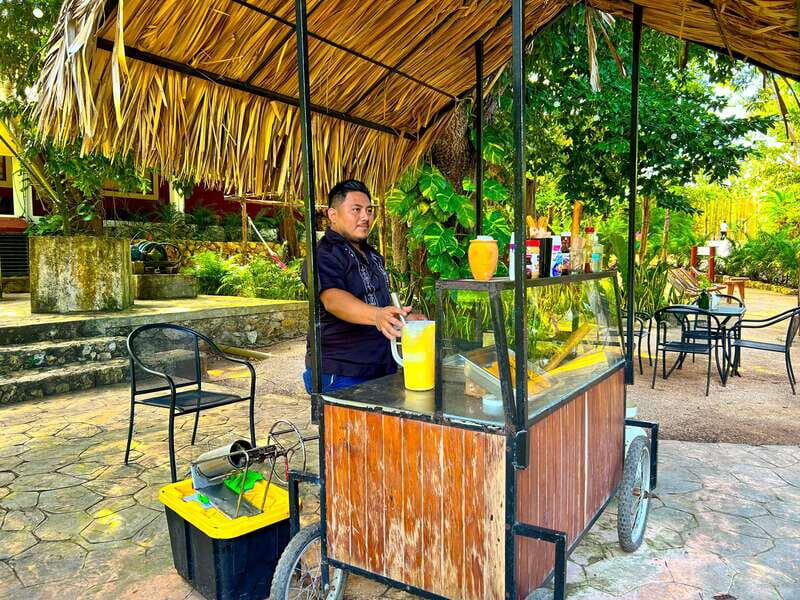 Playa del Carmen: Chichen Itza, Valladolid, Cenote & Buffet - Practical Considerations
