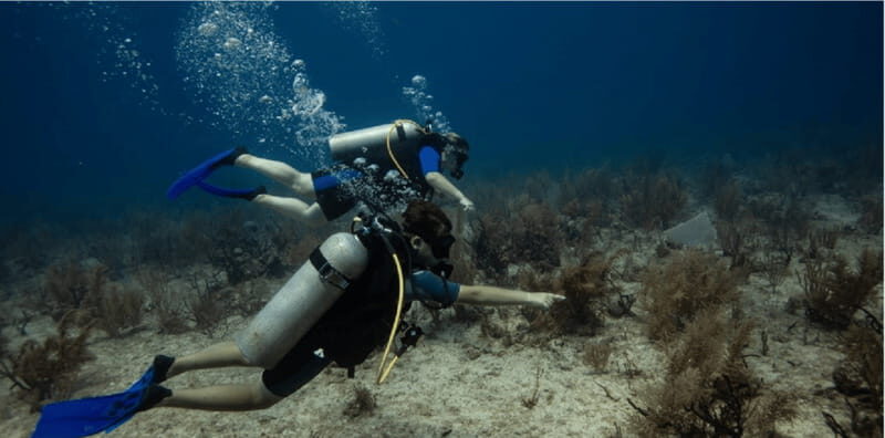 Playa del Carmen: Discover Scuba Diving - An In-Depth Look at the Playa del Carmen Discover Scuba Diving Tour