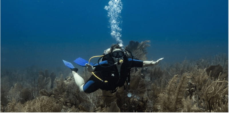 Playa del Carmen: Discover Scuba Diving - Frequently Asked Questions