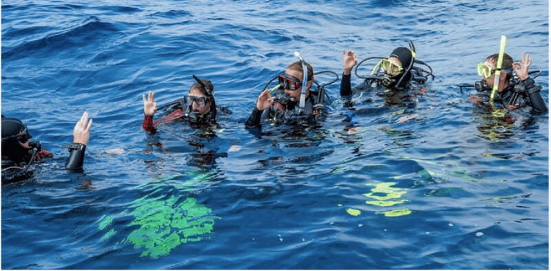 Playa del Carmen: Divemaster Course - An Introduction to the Playa del Carmen Divemaster Course