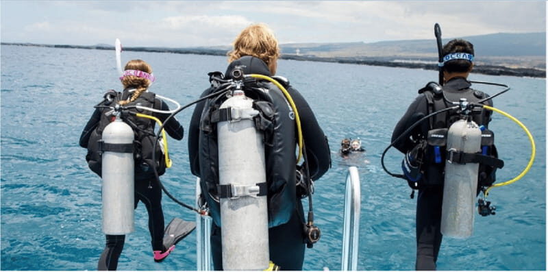 Playa del Carmen: Divemaster Course - Who Should Consider This Course?