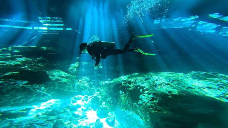Playa del Carmen: Dos Ojos Cenote 2 scuba dives without tran - Introduction: An Underwater Adventure Worth Considering