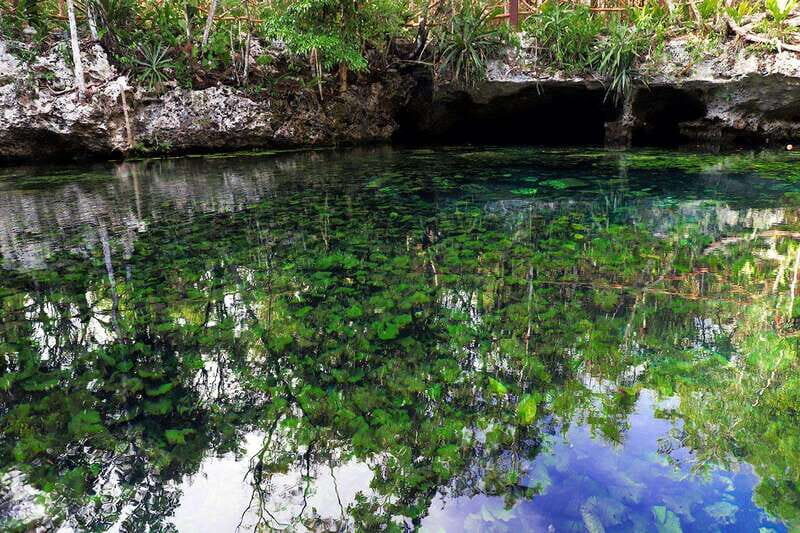 Playa del Carmen: Dual Realm Diving (Cenote + Reef Diving) - Who Will Love This Tour?