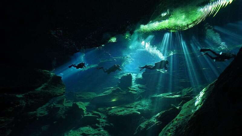 Playa del Carmen: Explore the Surreal World of Cenote Diving - The Experience’s Highlights