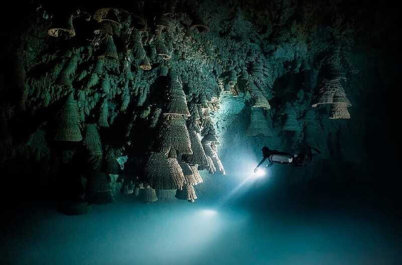 Playa del Carmen: Explore the Surreal World of Cenote Diving - Breaking Down the Itinerary and Locations