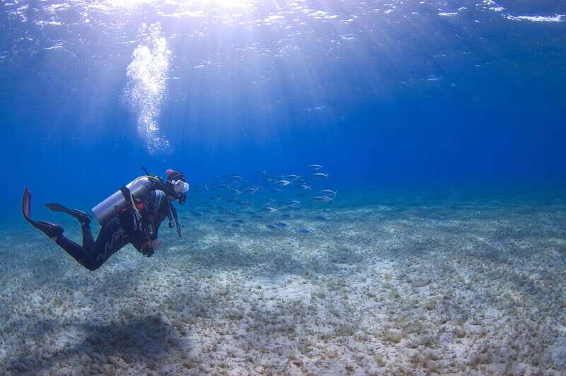 Playa del Carmen: Extreme Cozumel Diving by Speed Boat - The Sum Up