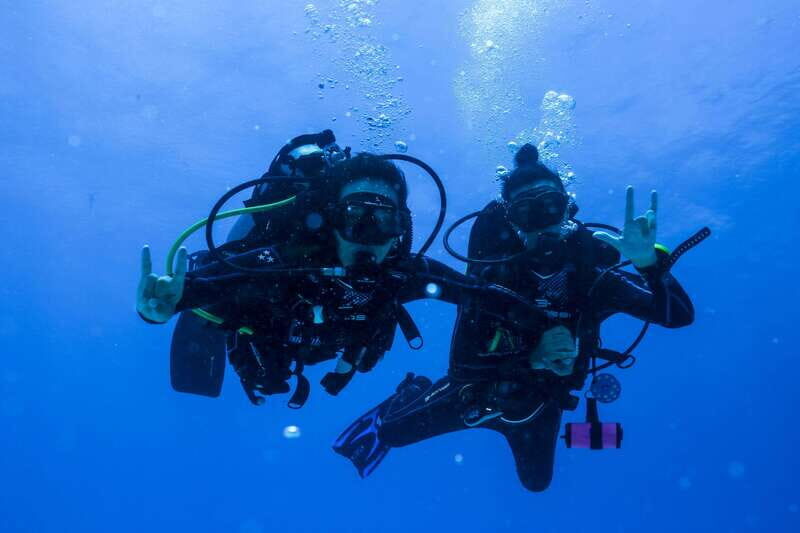 Playa del Carmen: Fun Dive Experience for Certified Divers - Practical Tips for Booking and Going