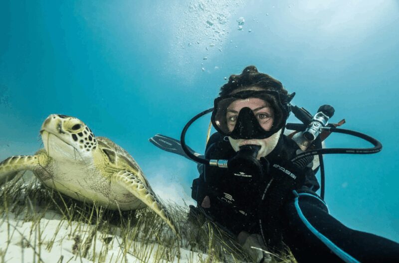 Playa del Carmen: Guided Reef Diving for Certified Divers - Why This Tour Excels