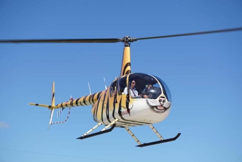 Playa del Carmen: Helicopter Tour - Key Points