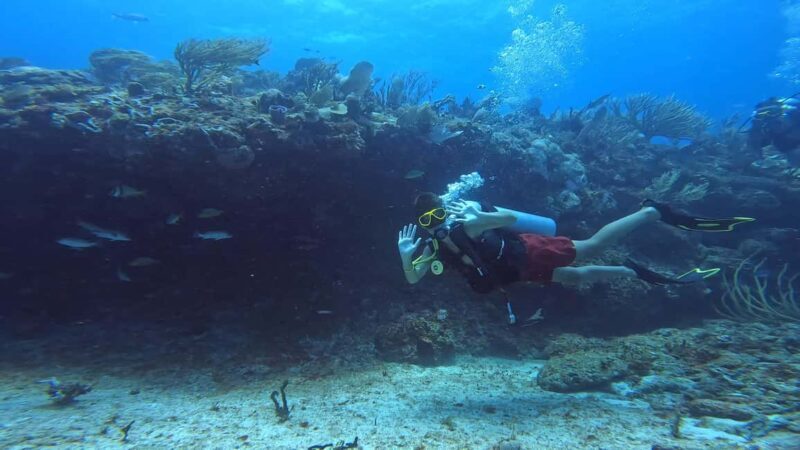 Playa del Carmen: Introductory Scuba Diving at Coral Reefs - Introduction