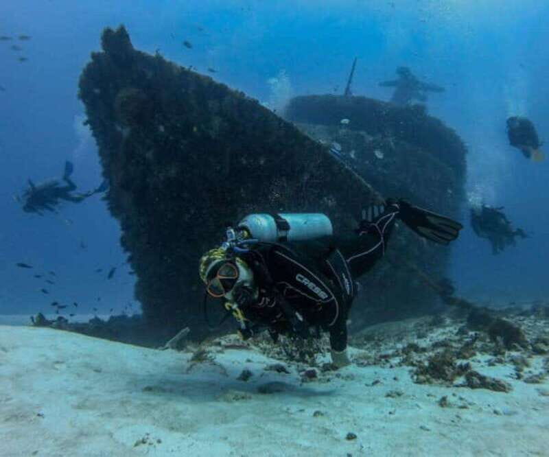 Playa del Carmen: MamaViña Wreck & Reef for Certified Divers - Analyzing the Value: Price vs. Experience