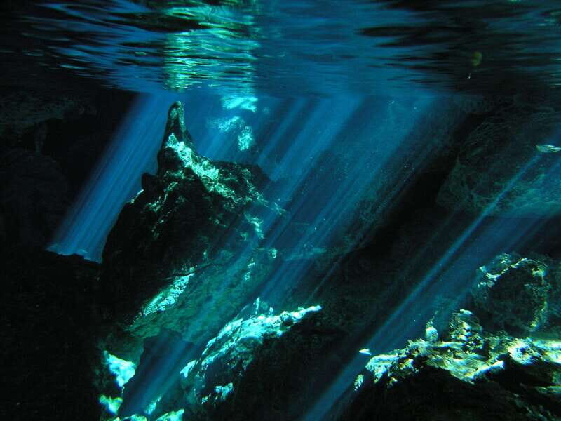 Playa del Carmen: Mind-Blowing Diving at Cenote Dos Ojos - An In-Depth Look at the Experience