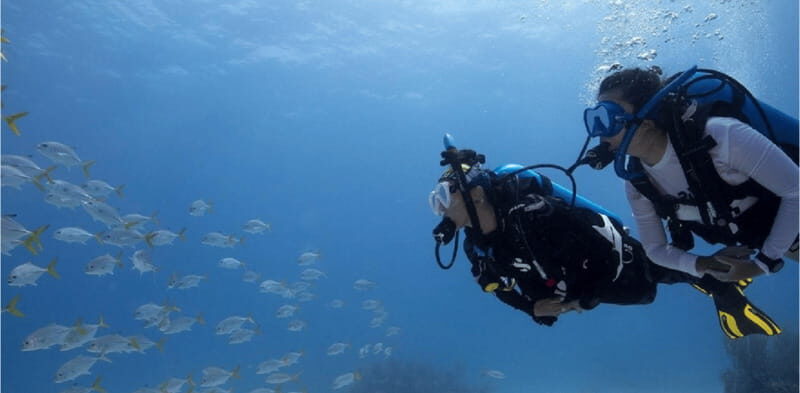 Playa del Carmen: Ocean Dive Tour - What This Tour Offers and Why It’s Worth Considering