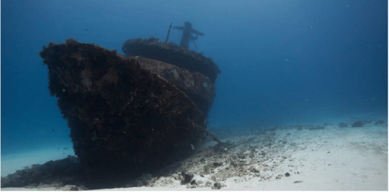 Playa del Carmen: Ocean Dive Tour - Cost & What’s Included
