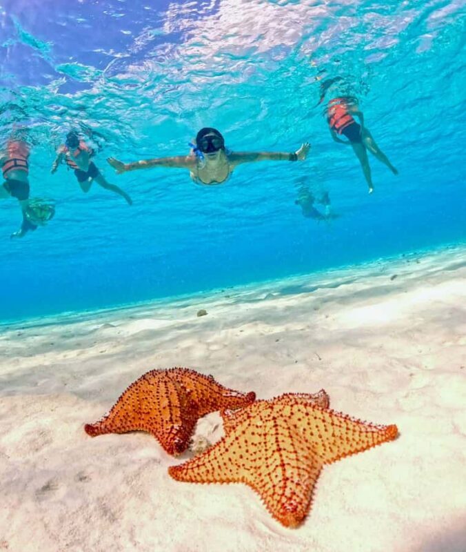 Playa del Carmen: On Board to Cozumel Tour with Lunch - Price and Value