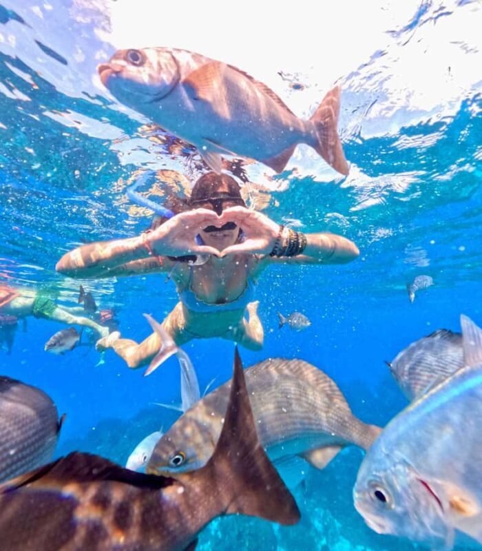 Playa del Carmen: On Board to Cozumel Tour with Lunch - Who Should Consider This Tour?