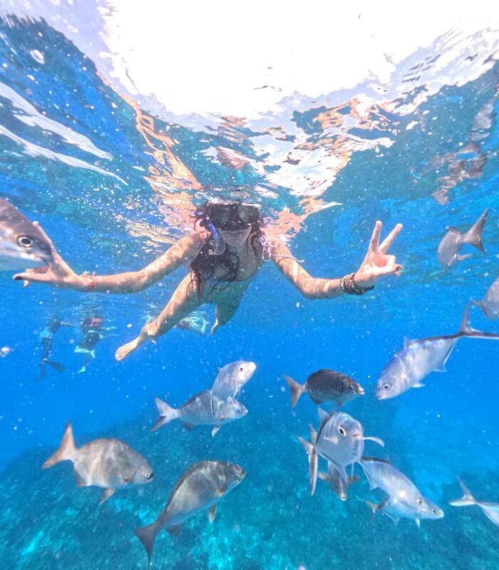 Playa del Carmen: On Board to Cozumel Tour with Lunch - FAQs