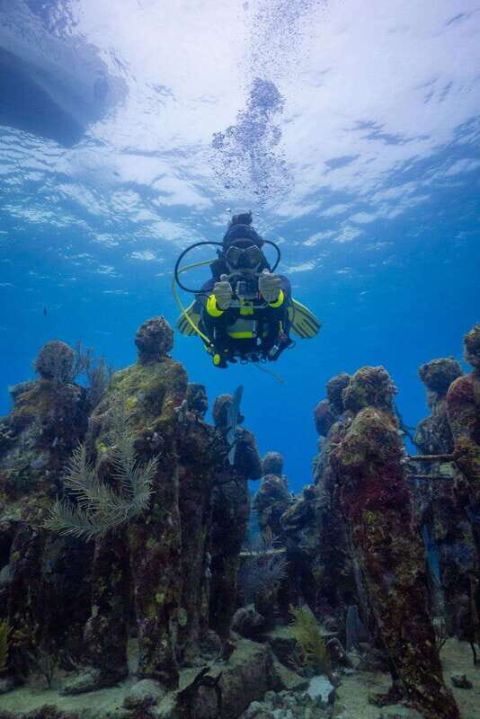 Playa del Carmen: Open Water Course - The Sum Up