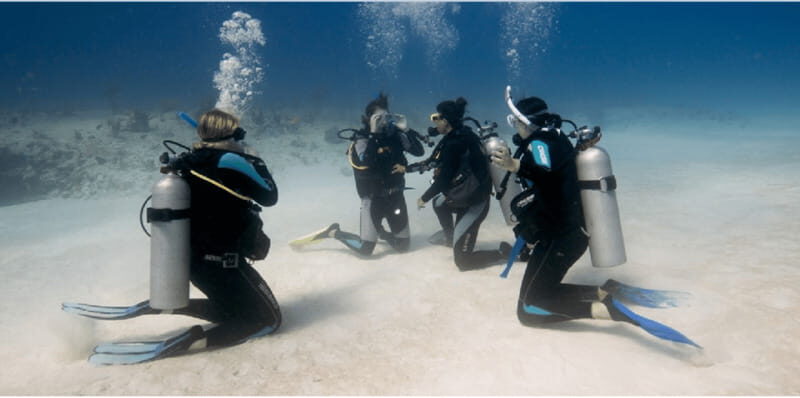Playa del Carmen: Open Water Diver Course - The Itinerary: Step by Step